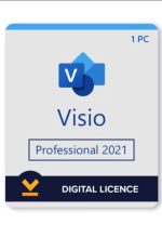 Visio Professional 2021 License Key - DIGI WORLD